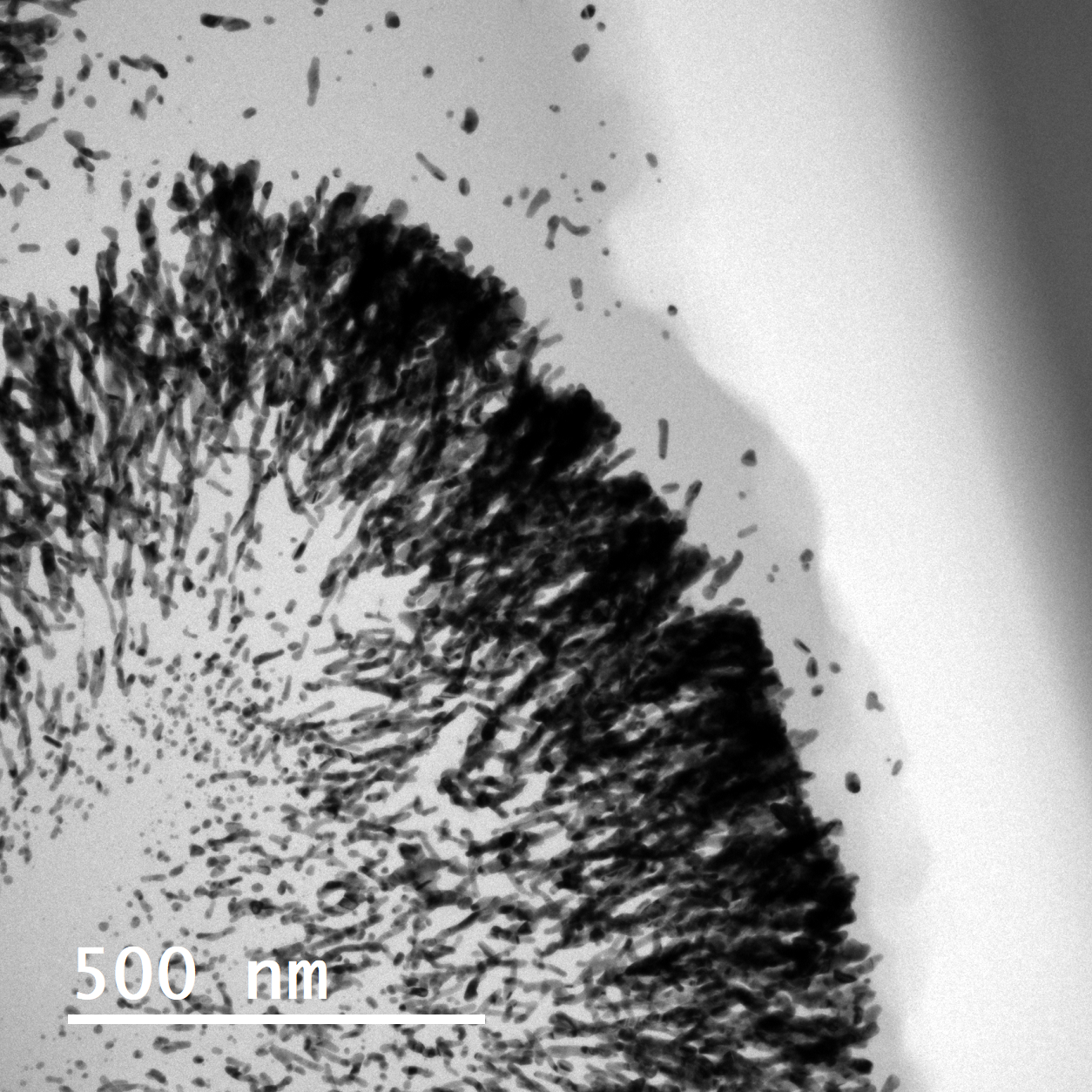 Research – Soft Interface Engineering Laboratory