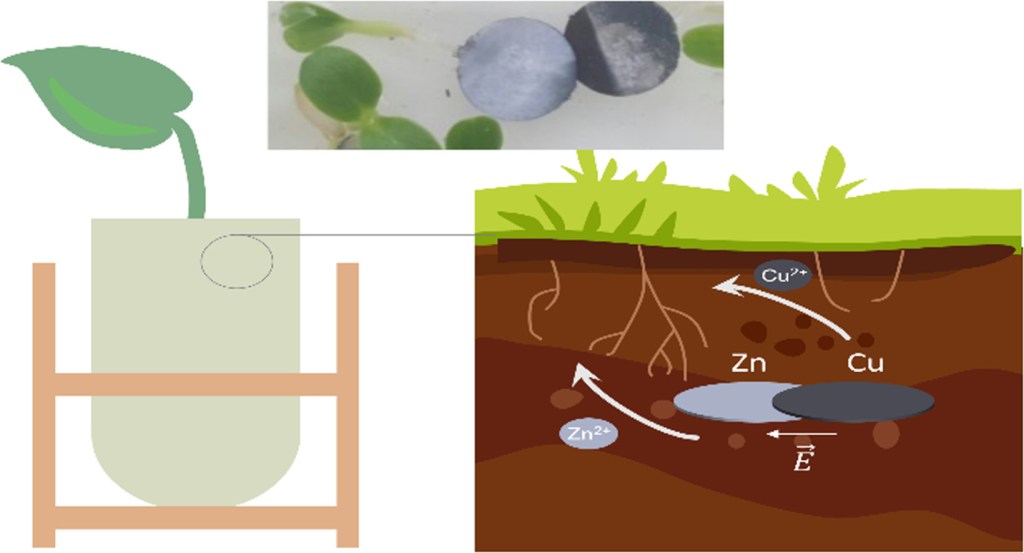 Achievement – Soft Interface Engineering Laboratory