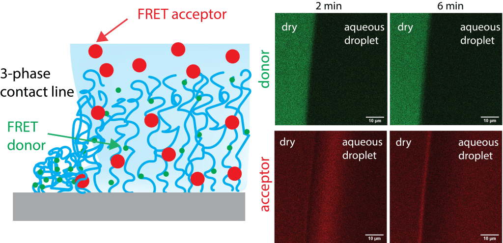Achievement – Soft Interface Engineering Laboratory